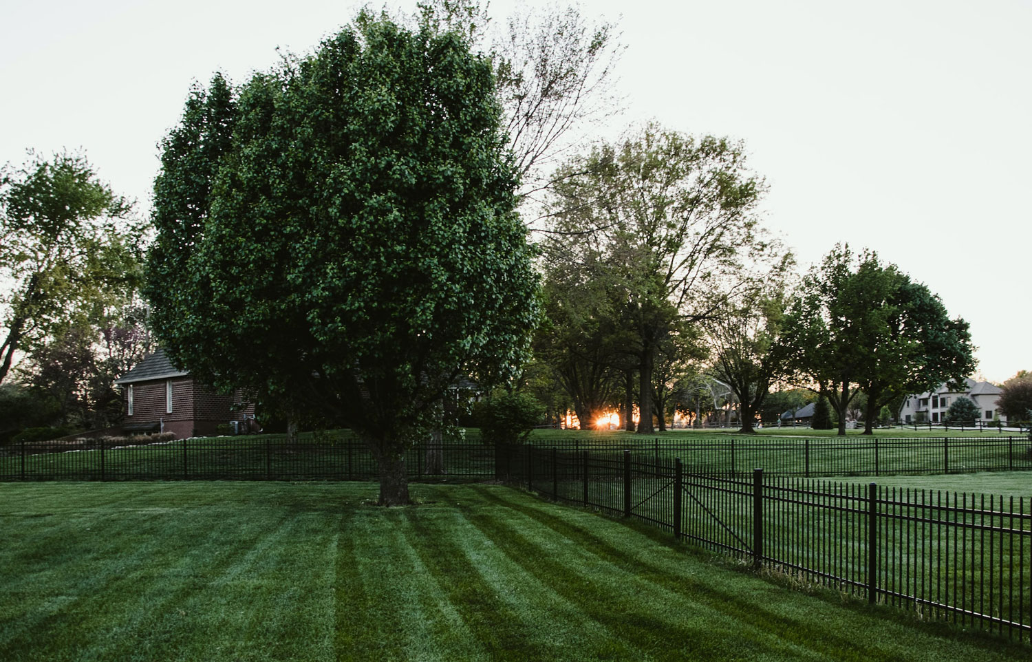 Fencing Services | Enhancing Space with Marshall & Mace Ltd